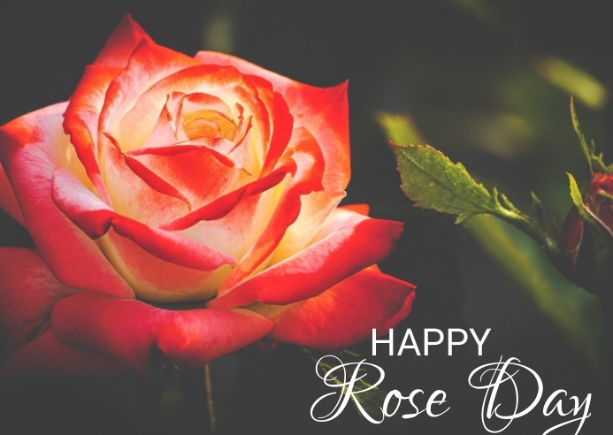 happy rose day Template | PosterMyWall