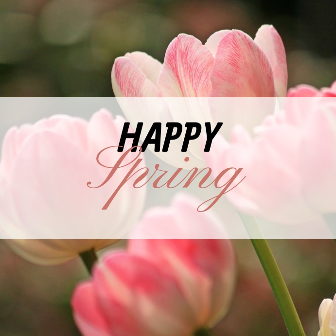 Copy of happy spring | PosterMyWall
