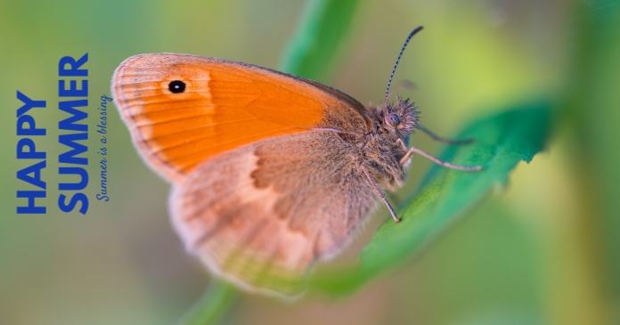 happy summer facebook post Template | PosterMyWall