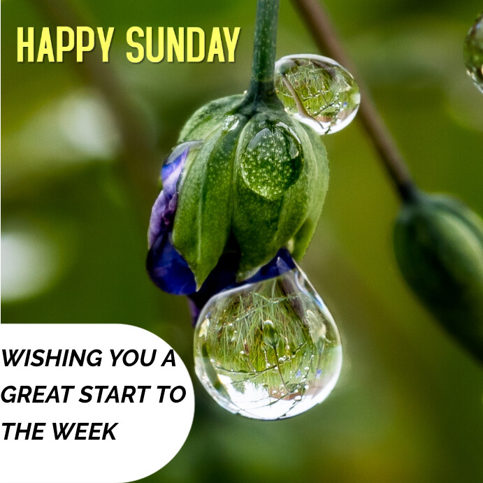 Happy Sunday Template | PosterMyWall