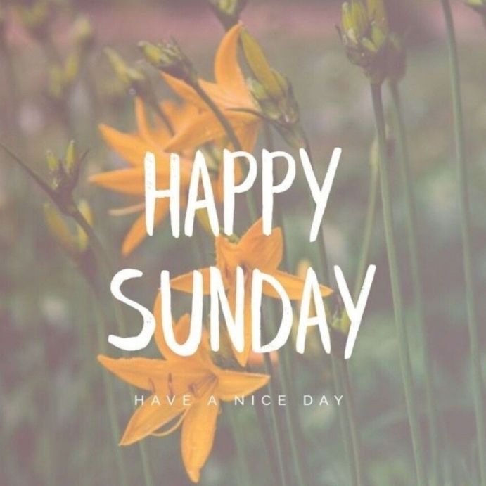 Plantilla de Happy Sunday design | PosterMyWall