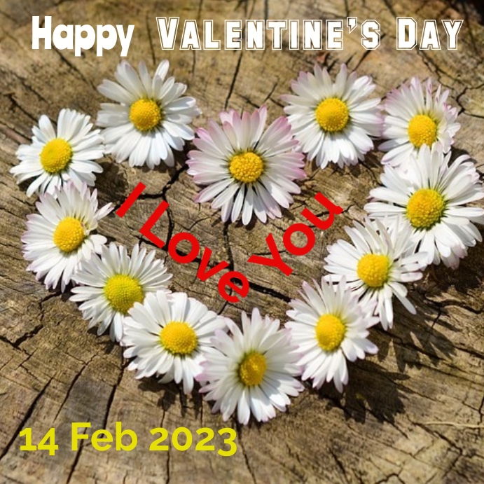 Happy valentines day Instagram post Template | PosterMyWall