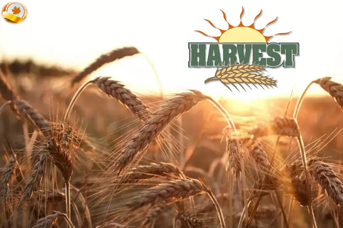 harvest festival Template | PosterMyWall