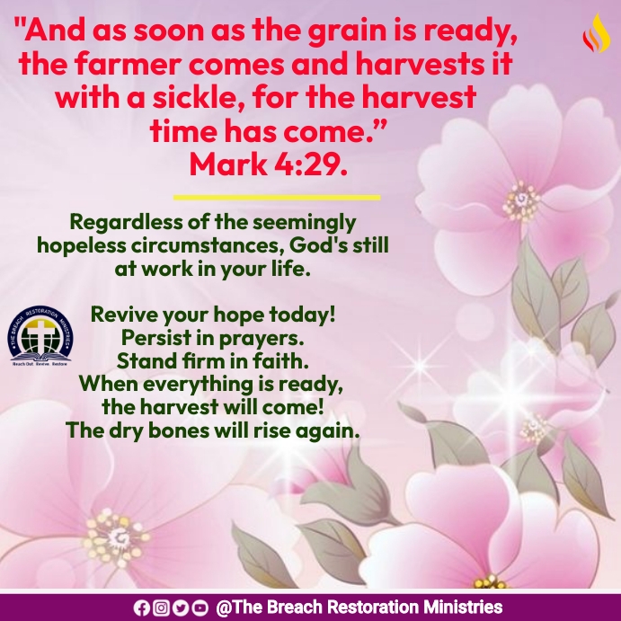 harvest time Template | PosterMyWall