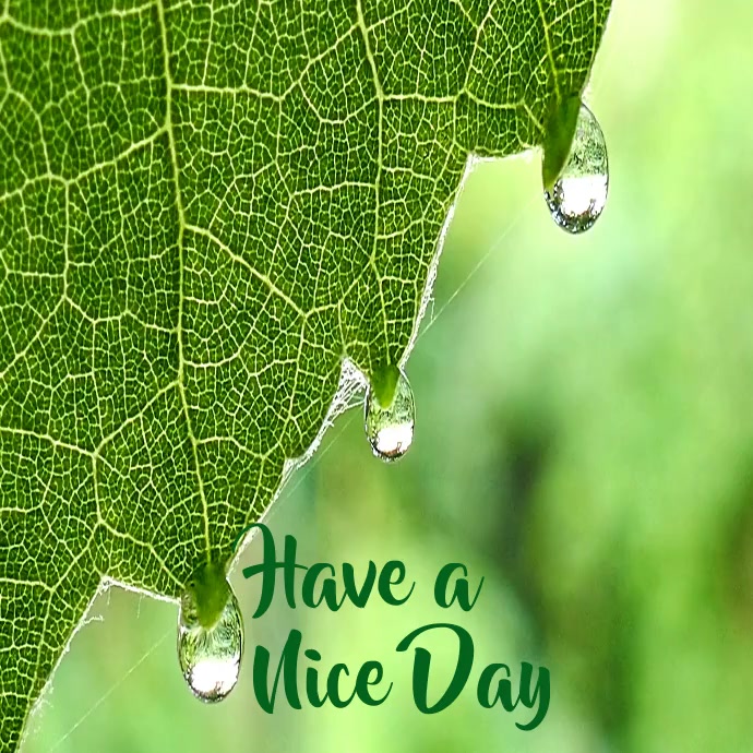 have a nice day Template | PosterMyWall