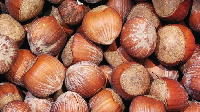 Copy of Hazelnut texture | PosterMyWall