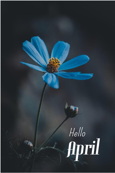 hello april Templat | PosterMyWall