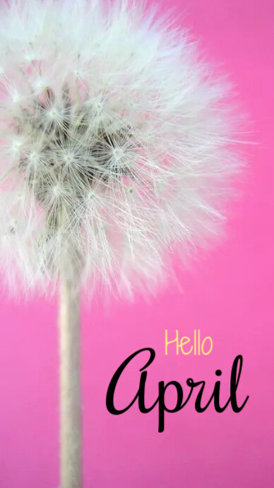 Hello April Instagram Story Template | PosterMyWall