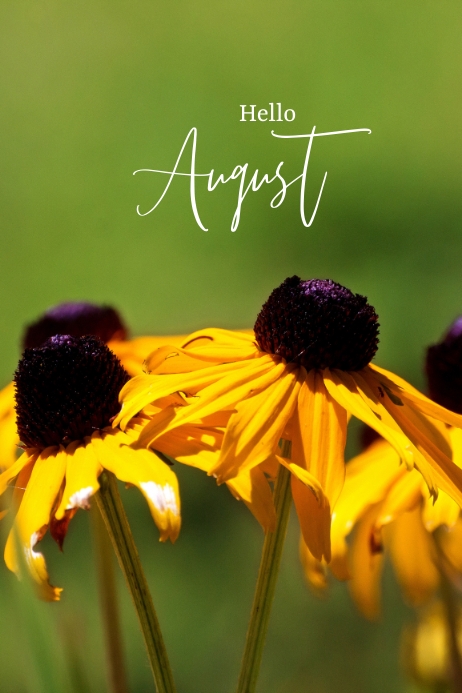 Plantilla de Hello August Flyer Template | PosterMyWall