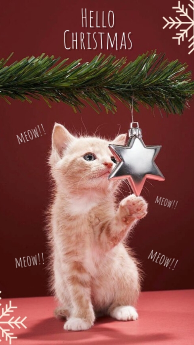 hello christmas Template | PosterMyWall