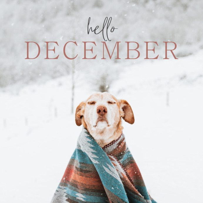 Hello December Template | PosterMyWall