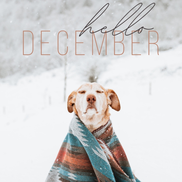 Hello December post for social media Template | PosterMyWall