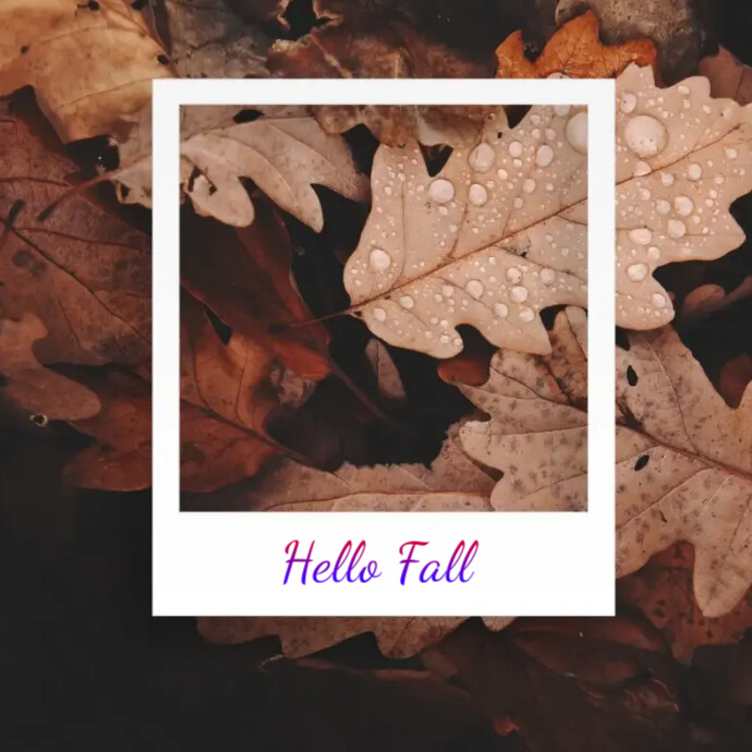 Hello Fall Template | PosterMyWall
