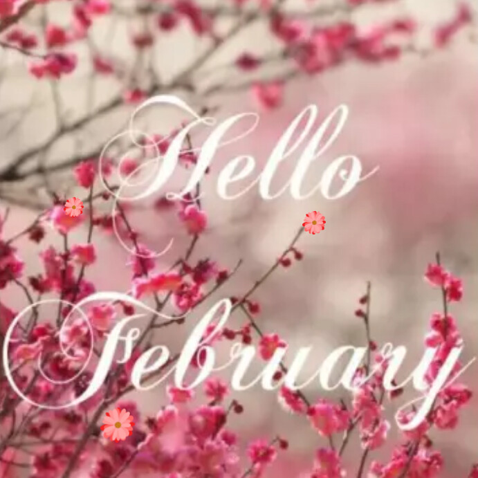 Copy of Hello February Instagram post | PosterMyWall