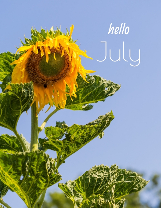 Plantilla de Hello July Poster | PosterMyWall
