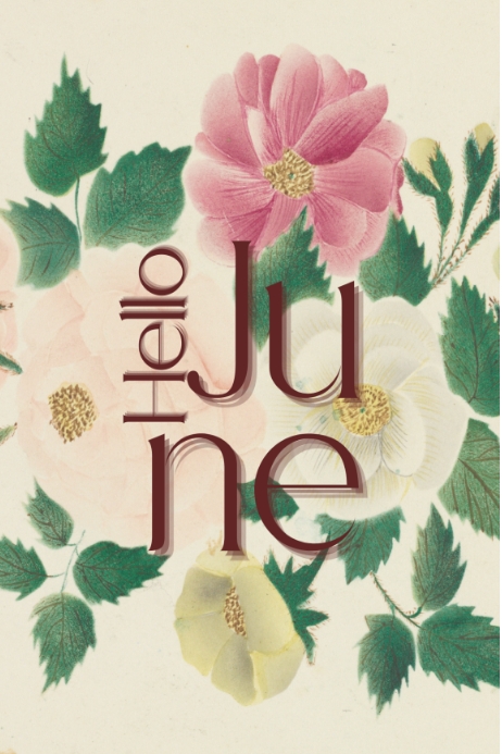 Copy of Hello June Poster Design | PosterMyWall