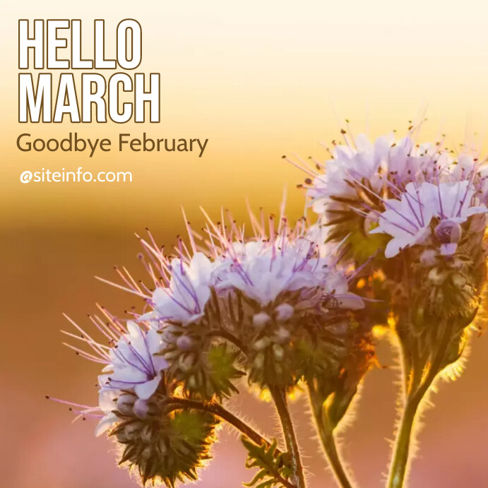 hello march Template | PosterMyWall