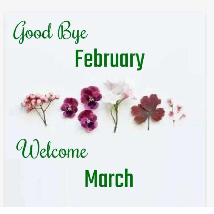 Hello March Template | PosterMyWall