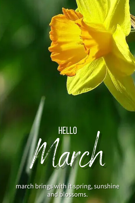 Copy of Hello march flyer template | PosterMyWall