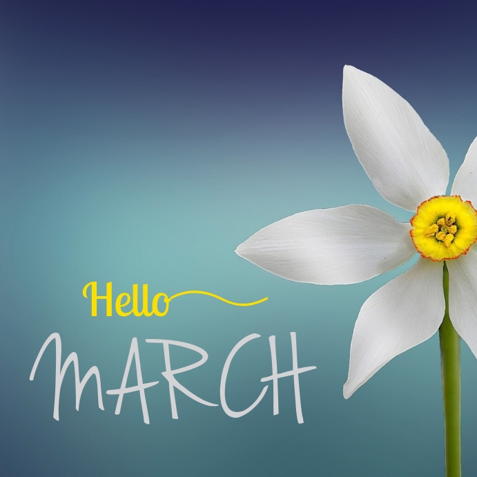 Hello March Instagram Post Template | PosterMyWall