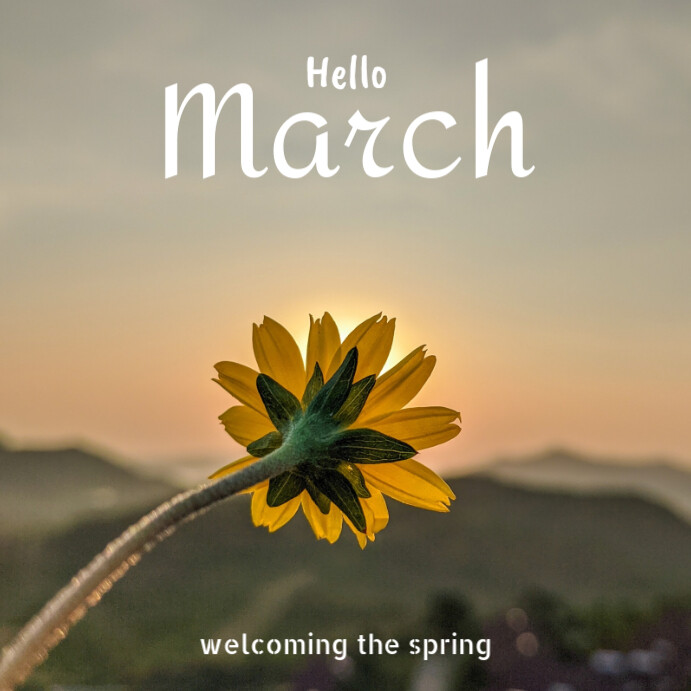 Hello March Welcoming The Spring Instagram Story Instagram Post ...