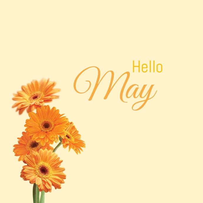 Hello May (Instagram) Template | PosterMyWall