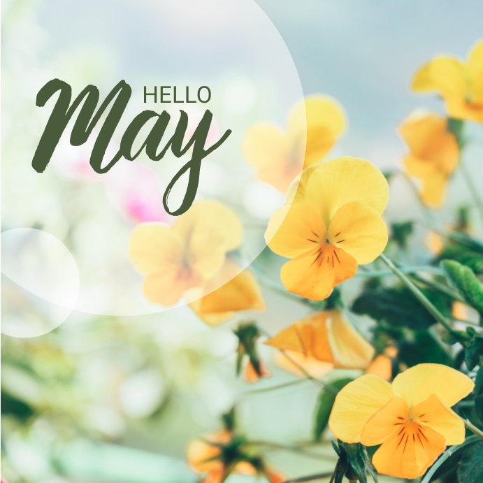 Hello may Template | PosterMyWall