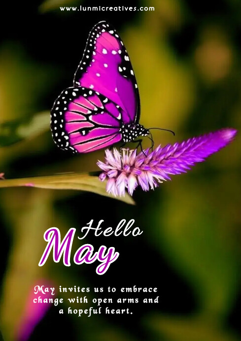Hello May Template | PosterMyWall