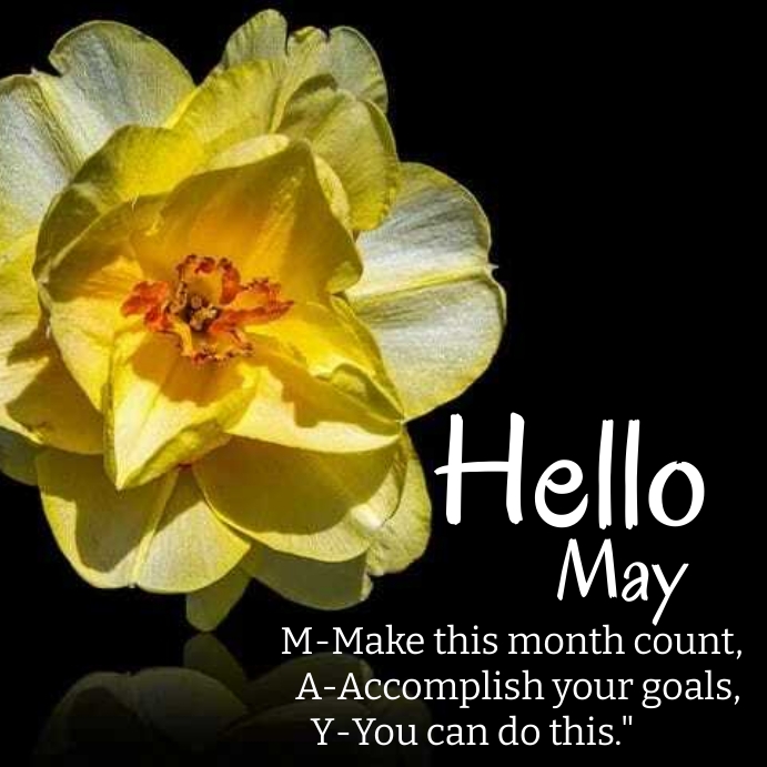 Hello may Template | PosterMyWall