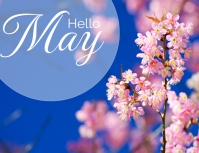 Hello may Template | PosterMyWall