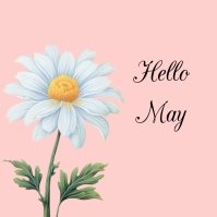 Hello May (Instagram) Template | PosterMyWall