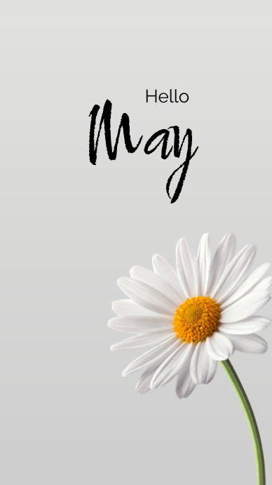 Copy of Hello May Instagram Story | PosterMyWall