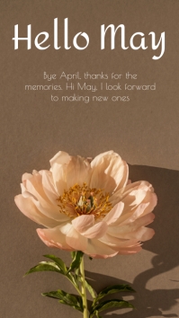 Hello May Instagram Story Template | PosterMyWall