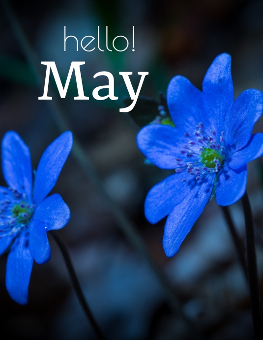 Hello May Poster Template | PosterMyWall