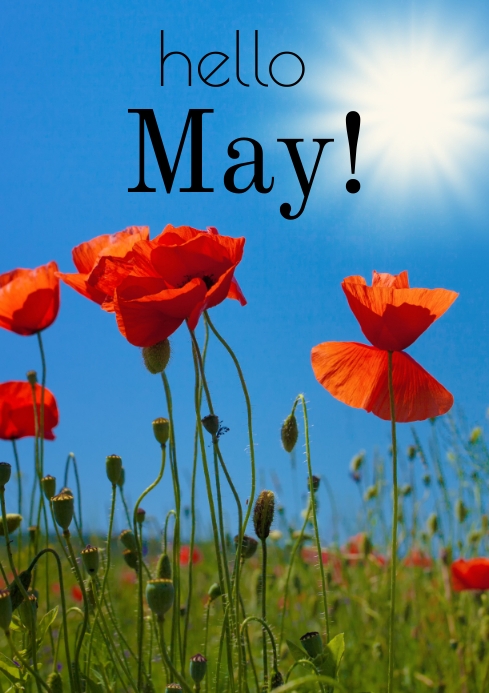 Hello May Poster Template | PosterMyWall
