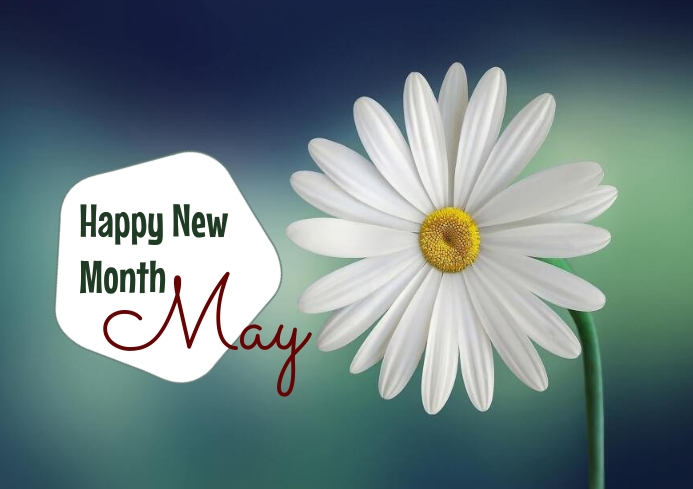 Hello May Poster Template | PosterMyWall