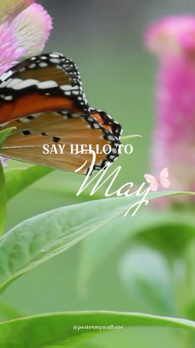 hello may template | PosterMyWall