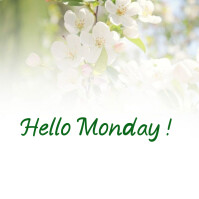 Hello Monday Template | PosterMyWall