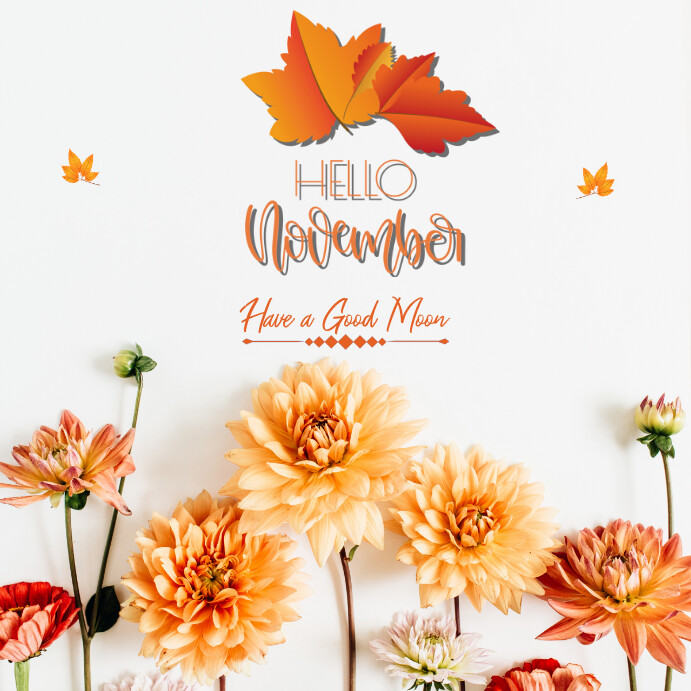 Hello November Template | PosterMyWall