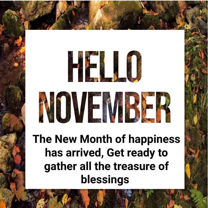 Hello November Flyer Template | PosterMyWall