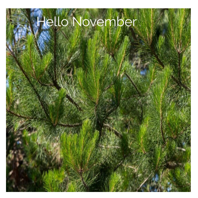 Modèle Hello November logo Design Template | PosterMyWall