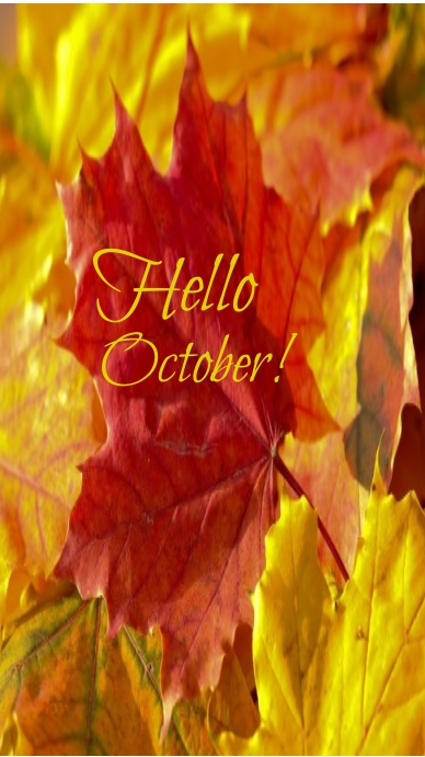 hello october instagram story Template | PosterMyWall