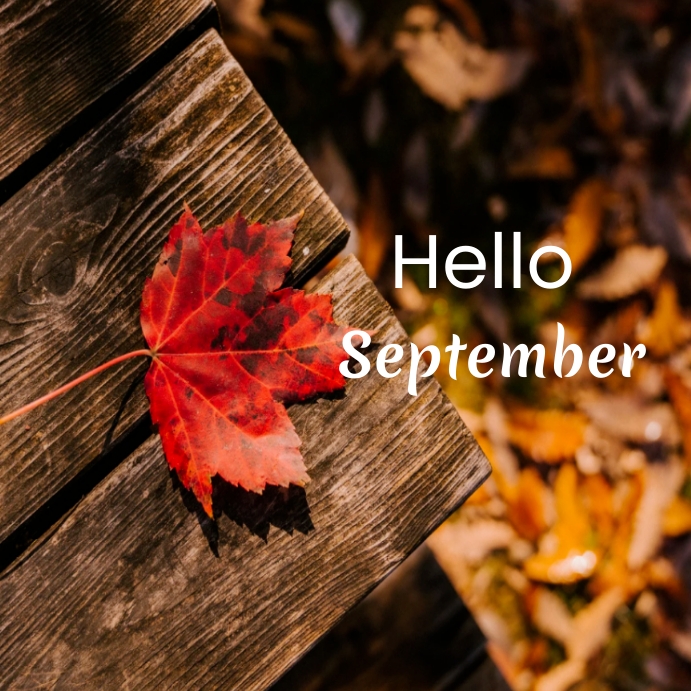 Copy of Hello September Instagram Post | PosterMyWall