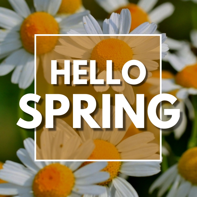 Copy of HELLO SPRING 67 | PosterMyWall