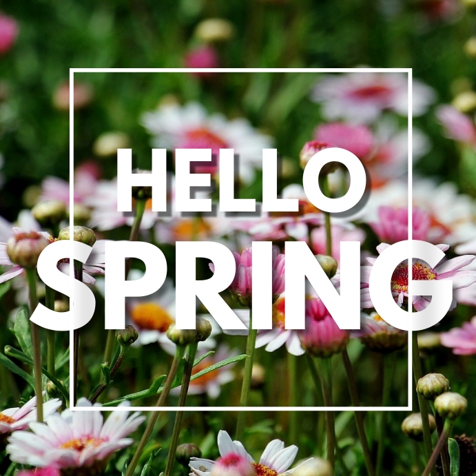 Copy of HELLO SPRING 73 | PosterMyWall