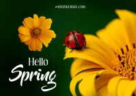 Hello Spring A4 Template | PosterMyWall