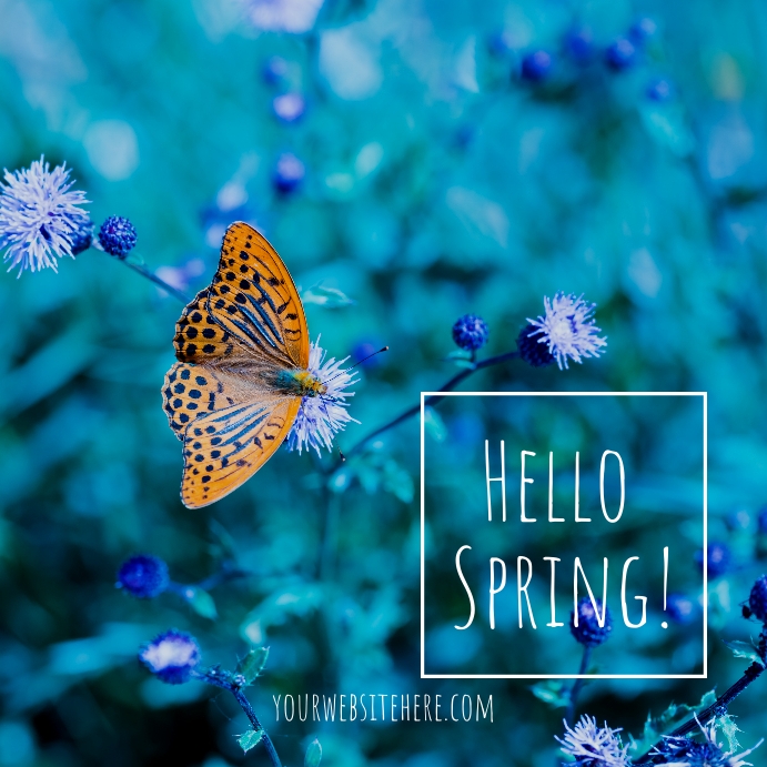 Hello Spring Template | PosterMyWall