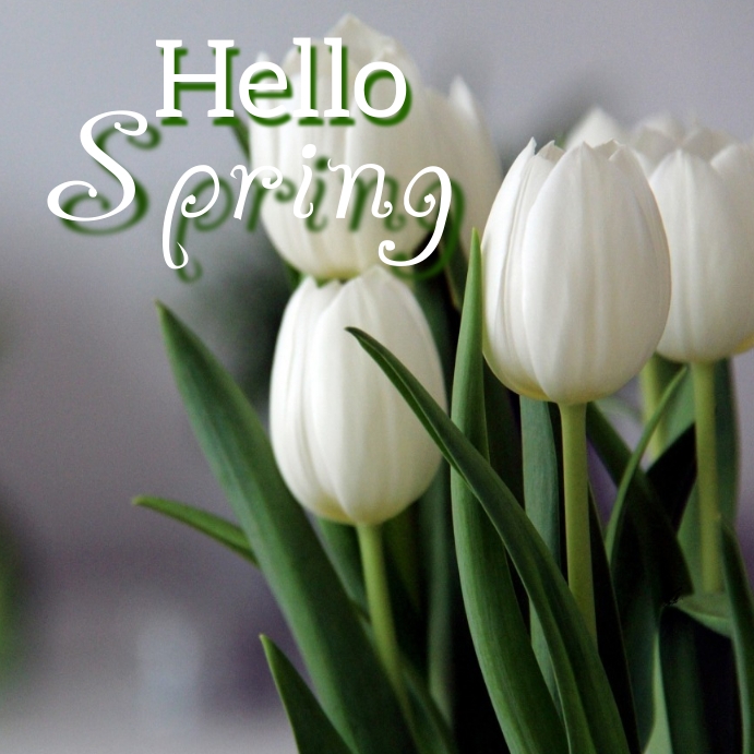 This Design Template is not available | PosterMyWall