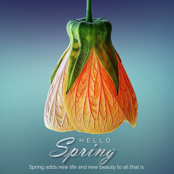 Hello spring Template | PosterMyWall