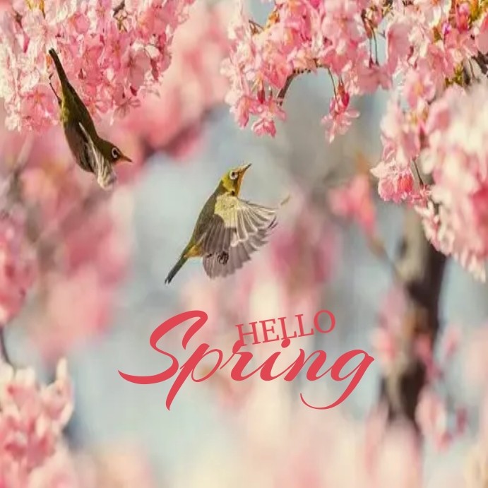 Copy of Hello spring | PosterMyWall